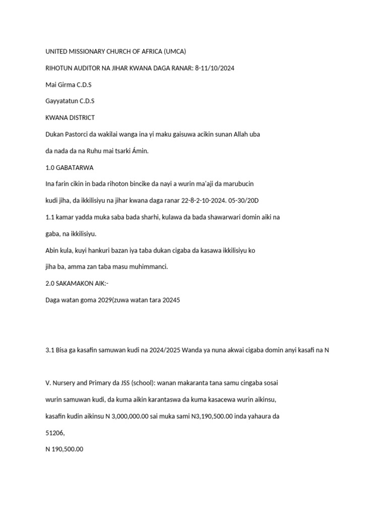 AUDITOR REPORT | PDF