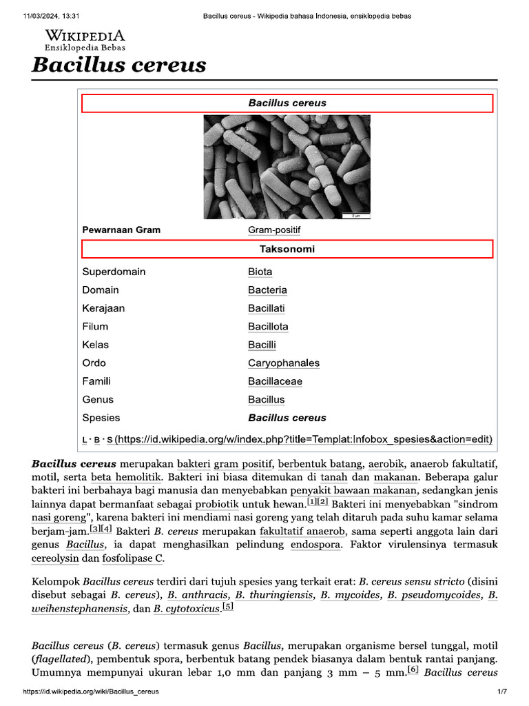 Bacillus Cereus | PDF