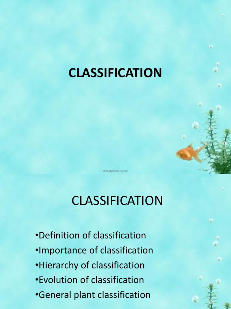Classification | PDF | Fern | Taxonomy (Biology)