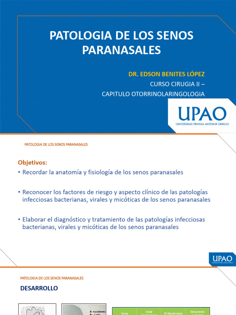 Patologías de los Senos Paranasales | PDF | Especialidades Medicas ...