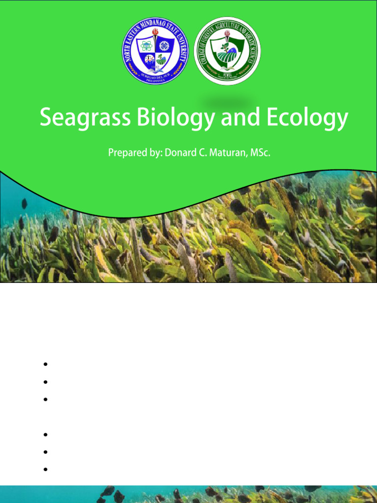 Part 3. Seagrass Ecology and Biology | PDF | Earth Sciences | Aquatic ...