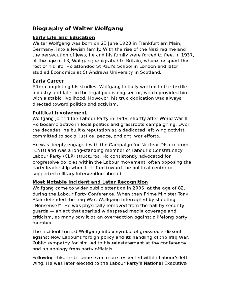 Wolfgang Peace Fighter | PDF