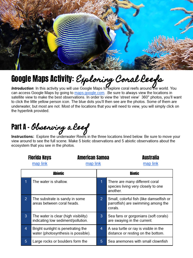 Exploring Maldives Coral Reef Types | PDF | Coral Reef | Lagoon