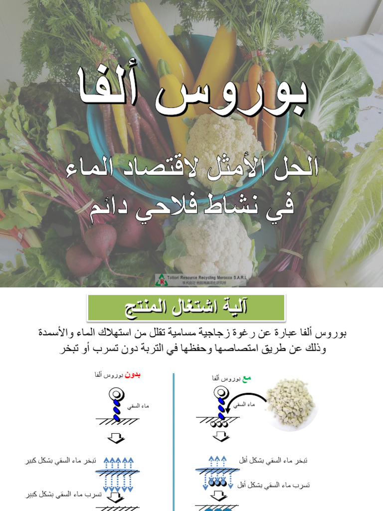 Porous Alpha Sur Maraîchage - 2022 (Ar) | PDF