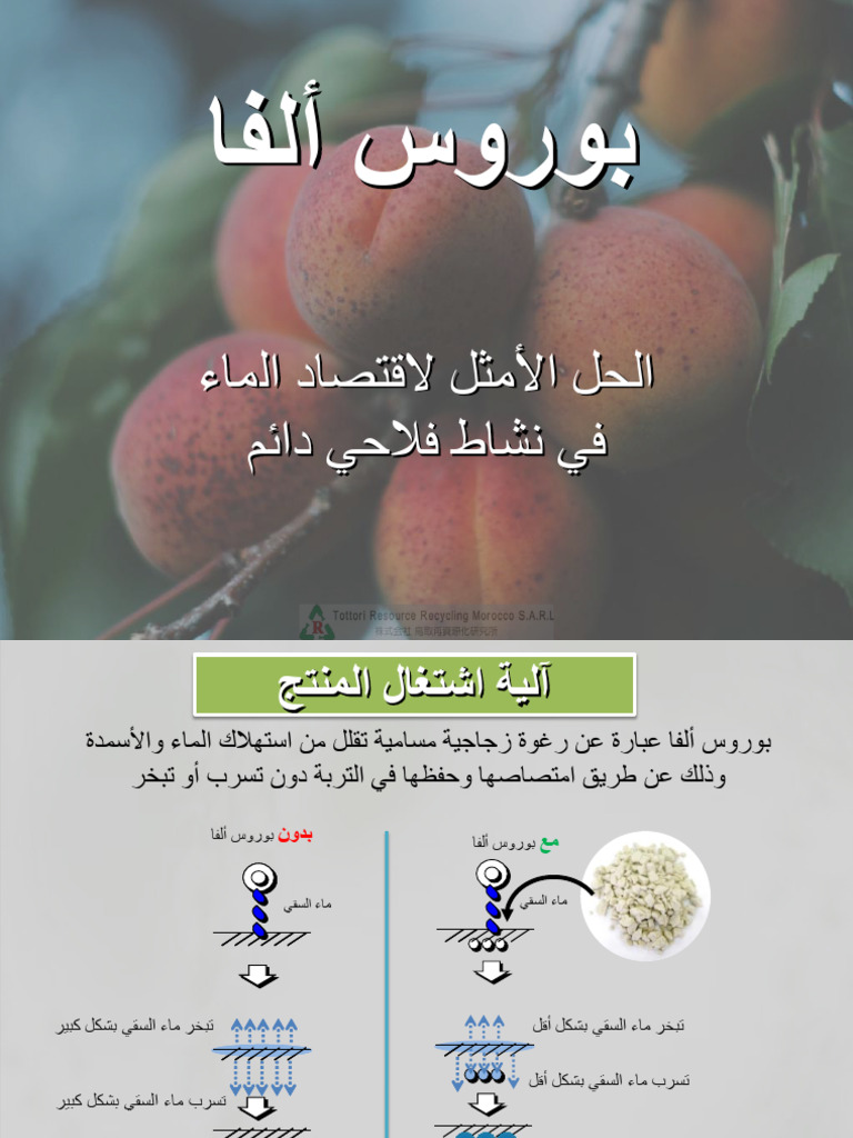 Porous Alpha Sur Arboriculture - 2022 (Ar) | PDF