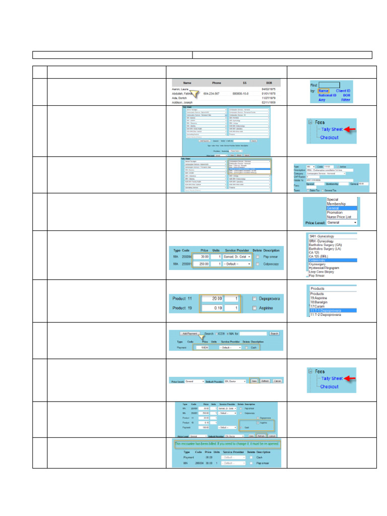e-Tally Sheet Process Guide for Nurses | PDF | Menu | Point Of Sale