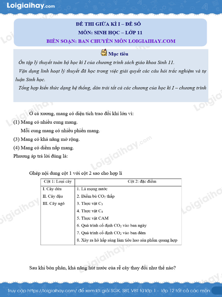 De Kiem Tra Giua Ki 1 Sinh 11 de So 2 Co Loi Giai Chi Tiet | PDF