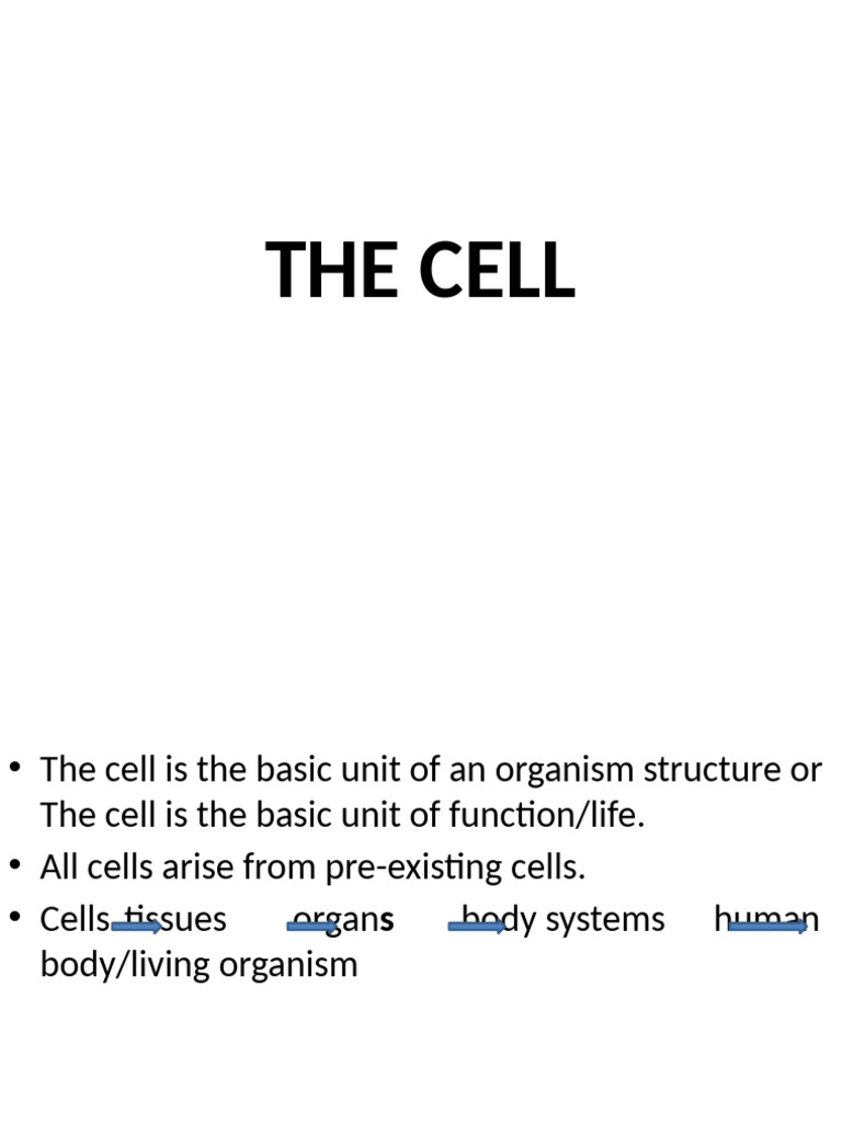 THE CELL | PDF | Mitosis | Cell (Biology)