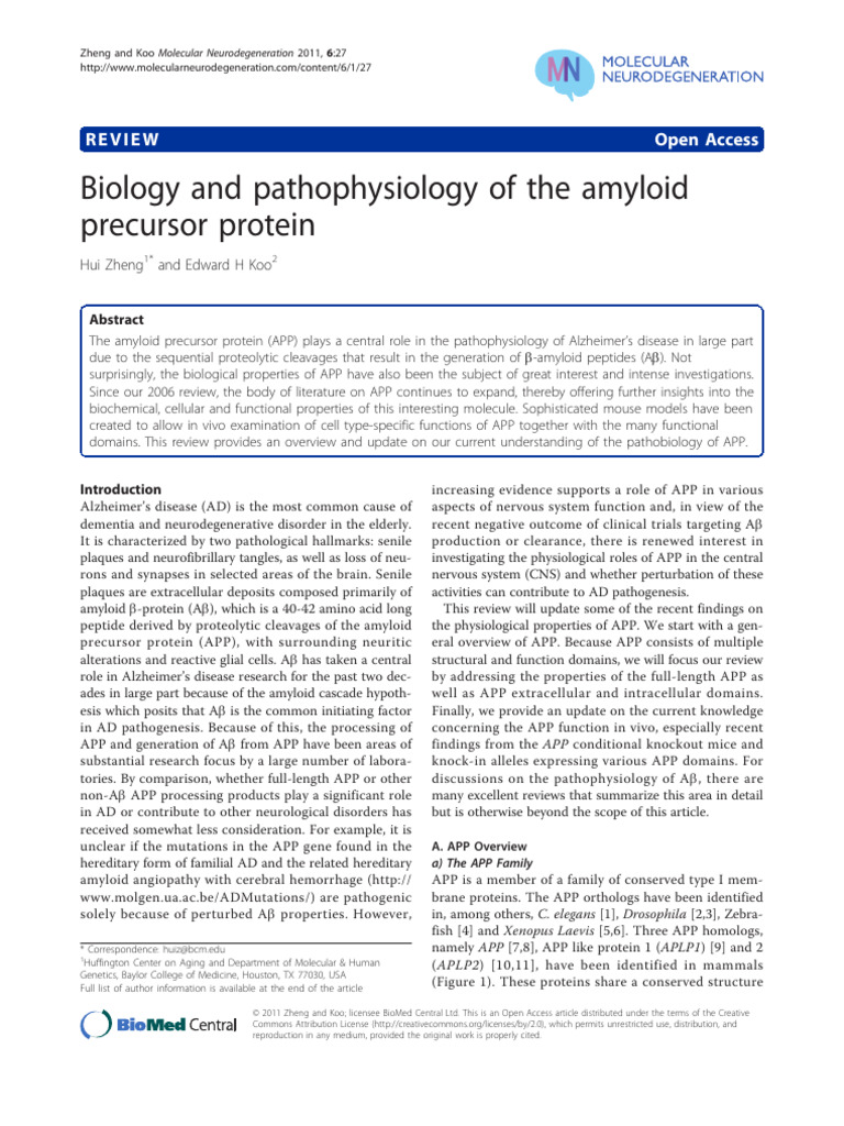 Biology of Amyloid Precursor Protein | PDF | Proteolysis | Synapse