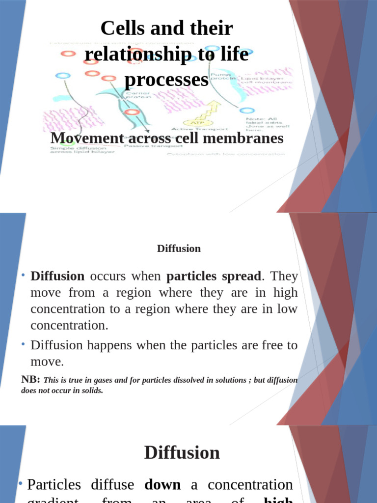 Movement Across Cell Membrane | PDF | Osmosis | Diffusion