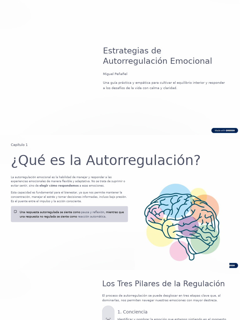 Estrategias de Autorregulacion Emocional | PDF | Las emociones ...