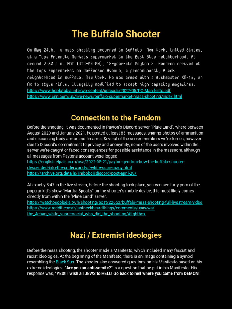 Buffalo Shooting: Payton Gendron's Attack | PDF