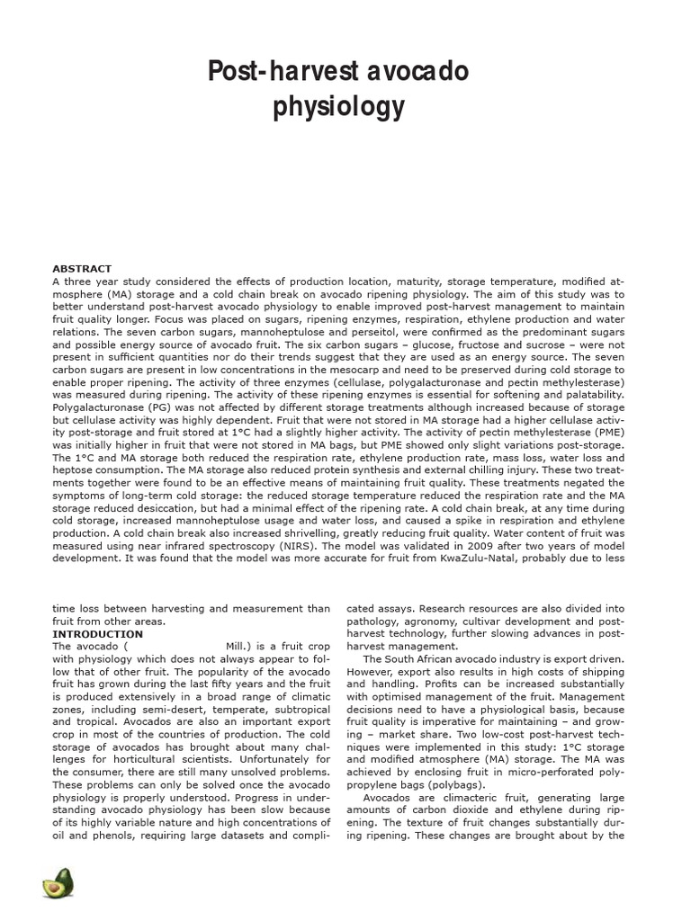 Post Harvest Avocado Physiology | PDF | Avocado