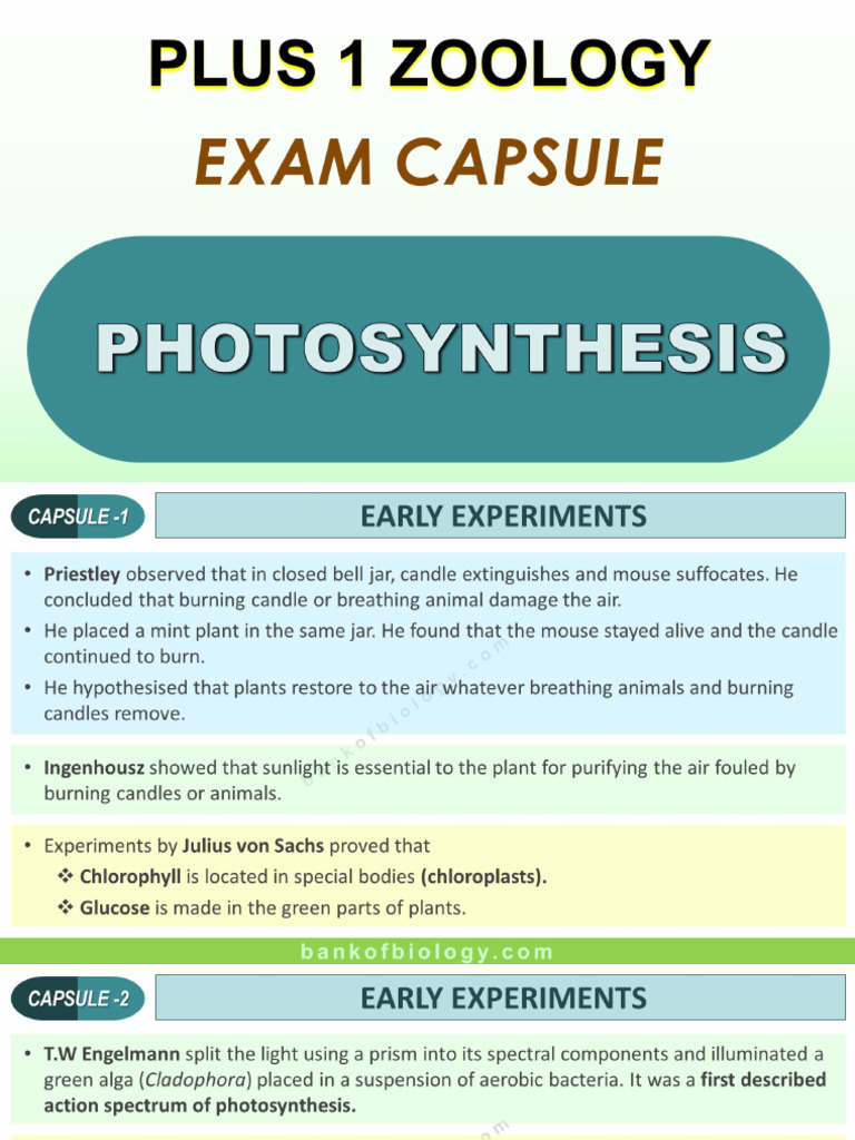 13 Photosynthesis - EXAM CAPSULE PDF Slides | PDF