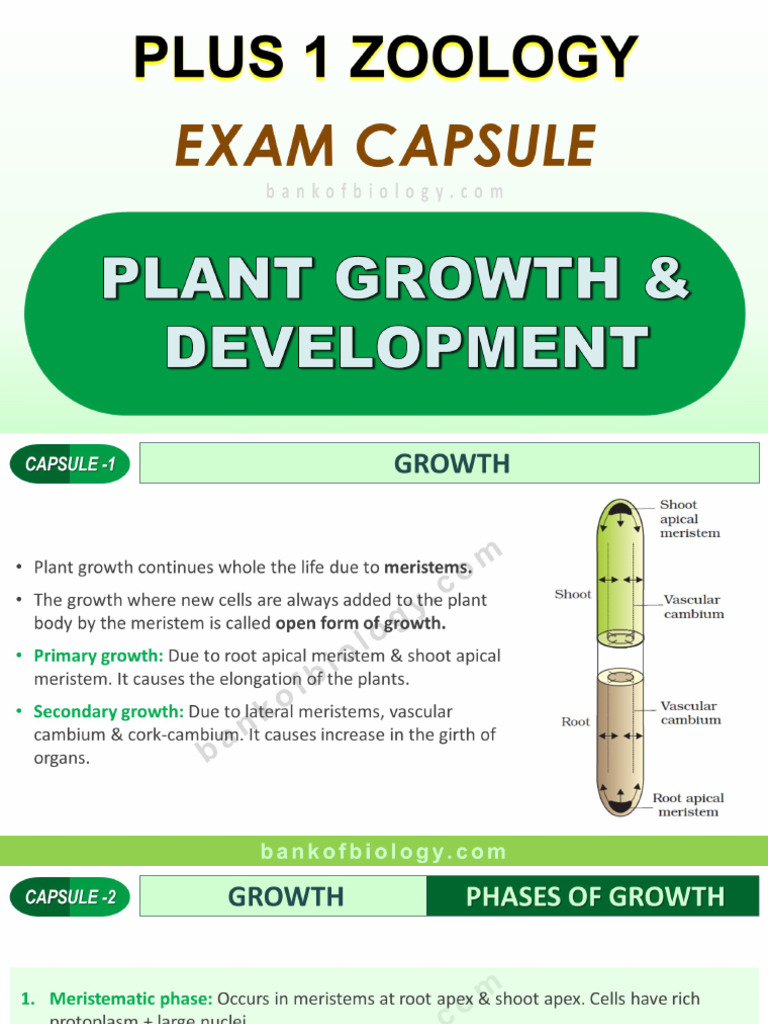 15 Plant Growth N Development - EXAM CAPSULE PDF Slides | PDF