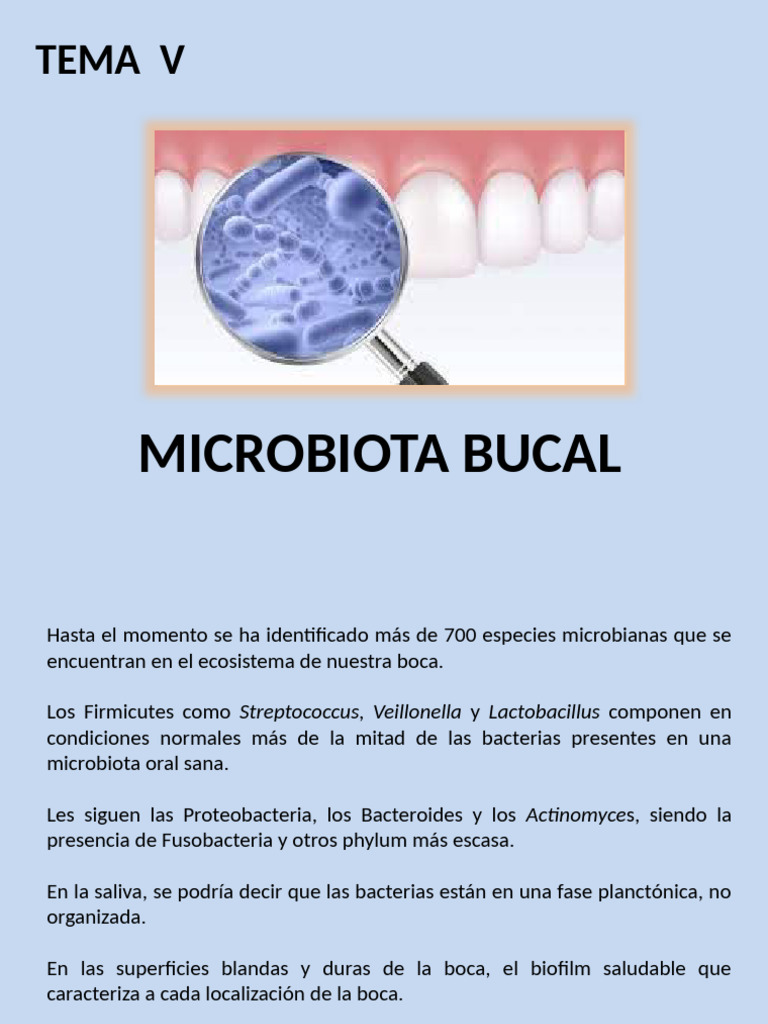 Tema V Microflora Bucal | PDF | Saliva | Las bacterias