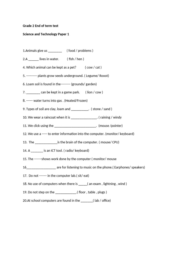 Grade 2 End of Term Test Papers | PDF