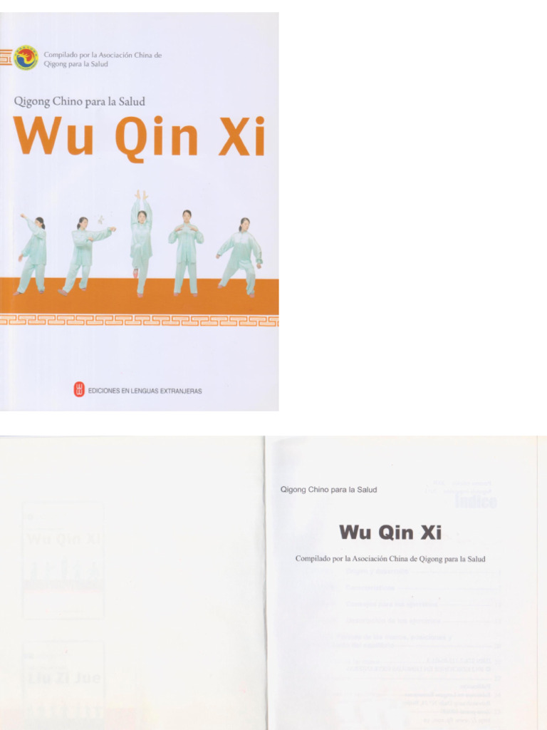 Libro WU-QIN-XI | PDF