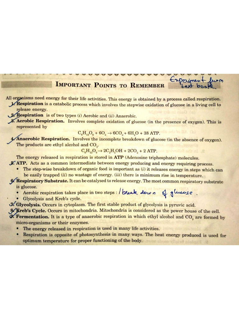 Respiration in Plants - Notes | PDF