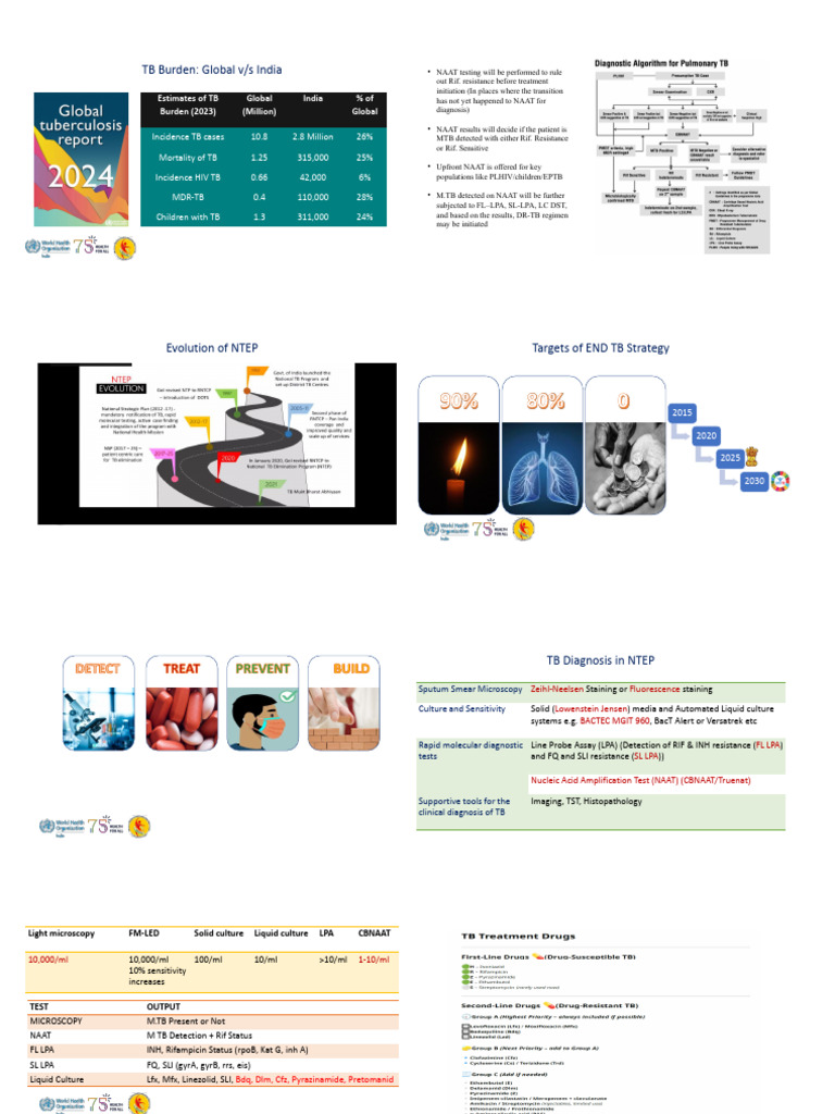 TB Burden: Global vs India 2023 Analysis | PDF | Tuberculosis ...