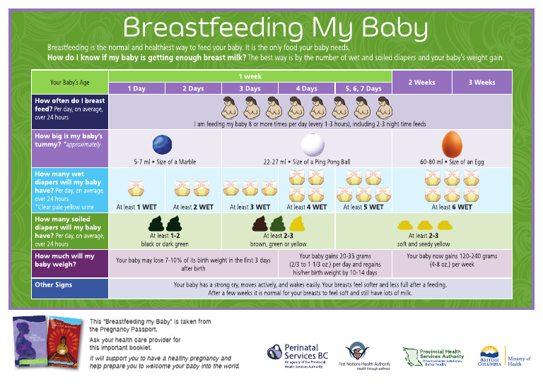 Breastfeeding My Baby Poster | PDF