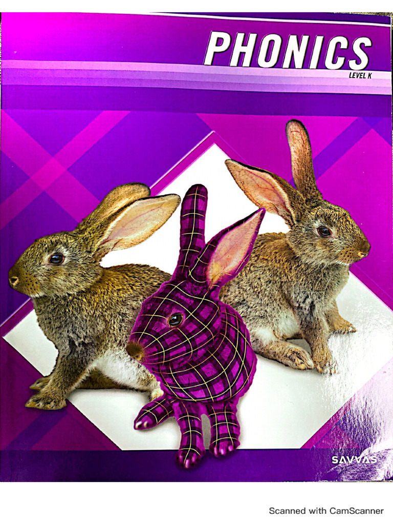 Phonics Level K | PDF