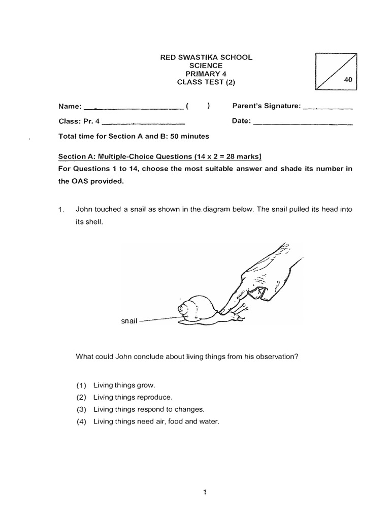 Primary 4 Science Class Test 2023 | PDF