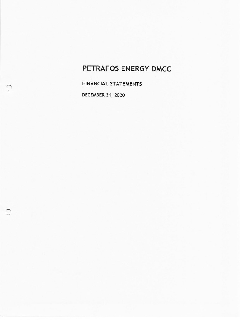 Petrafos Energy DMCC - Financial Statements 2020 | PDF