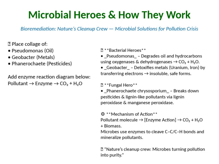 Microbial Heroes Bioremediation Presentation | PDF