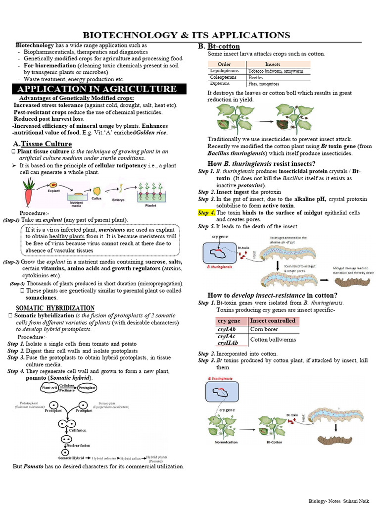 Biotechnolgy and Applications | PDF | Recombinant Dna | Gene