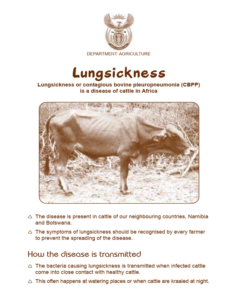 Lungsickness Cattle in Africa 2002 | PDF