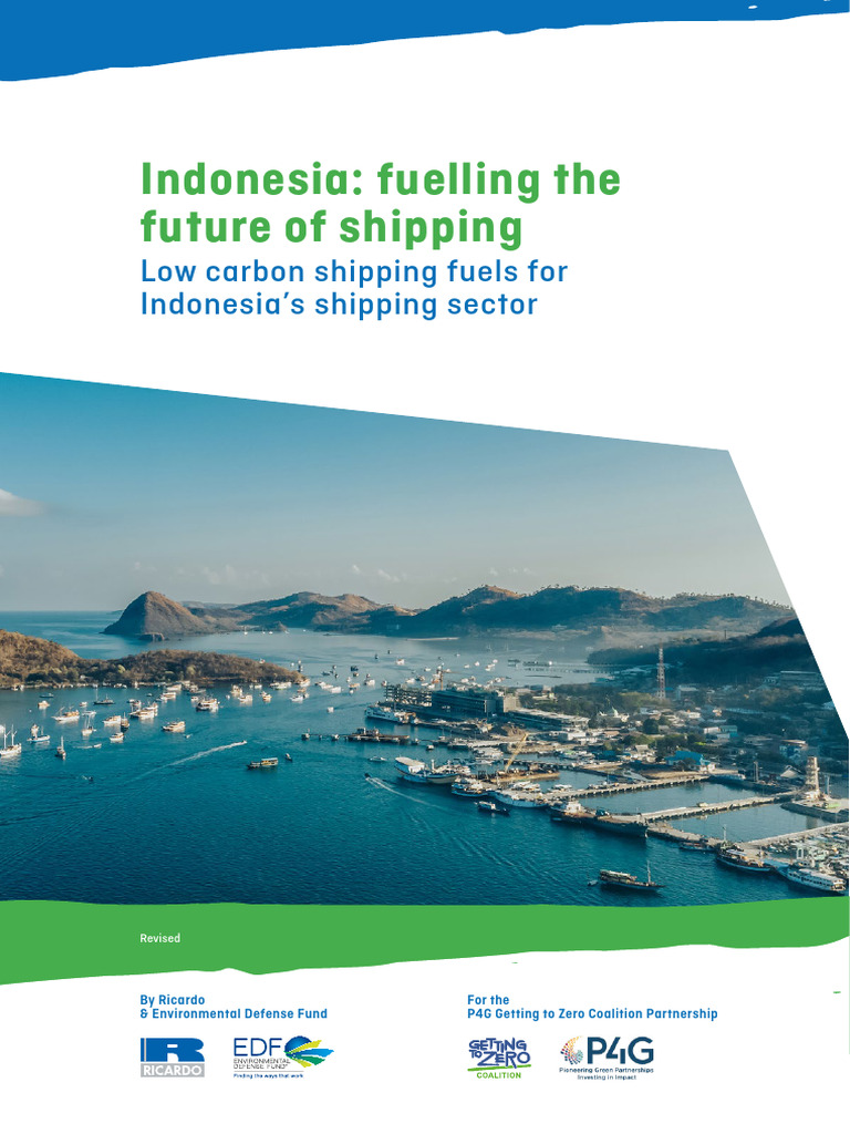 Low Carbon Shipping Fuels in Indonesia | PDF | Biofuel | Climate Change ...
