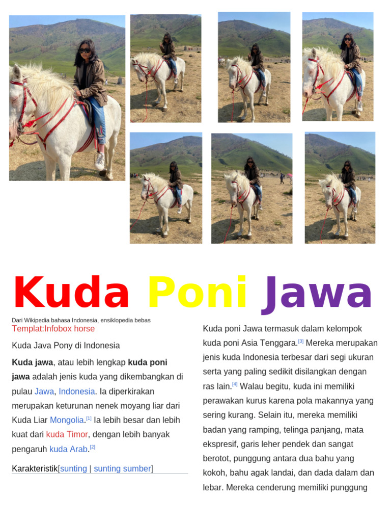 Kuda Poni Jawa: Karakteristik dan Sejarah | PDF