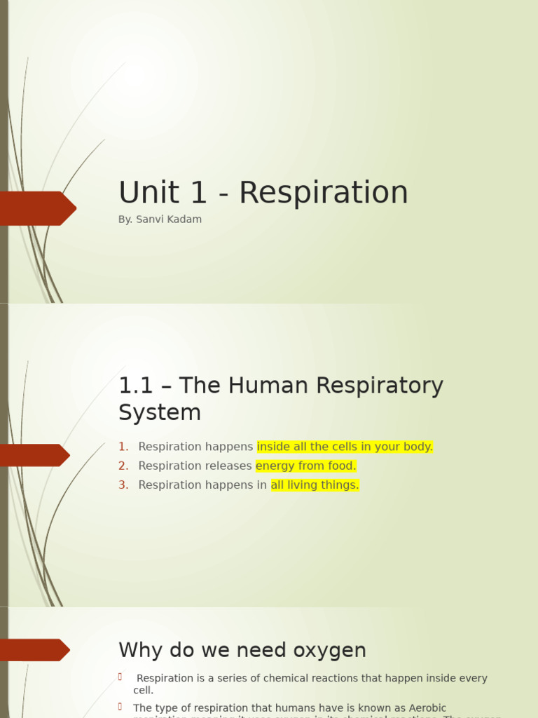 Unit 1 - Respiration | PDF