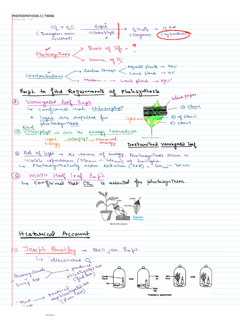 Photosynthesis 1 | PDF