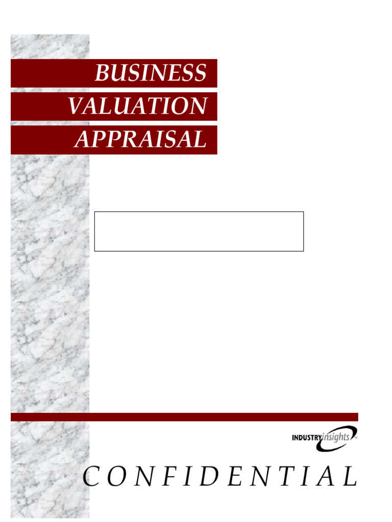 BV Sample Pages | PDF | Business Valuation | Book Value