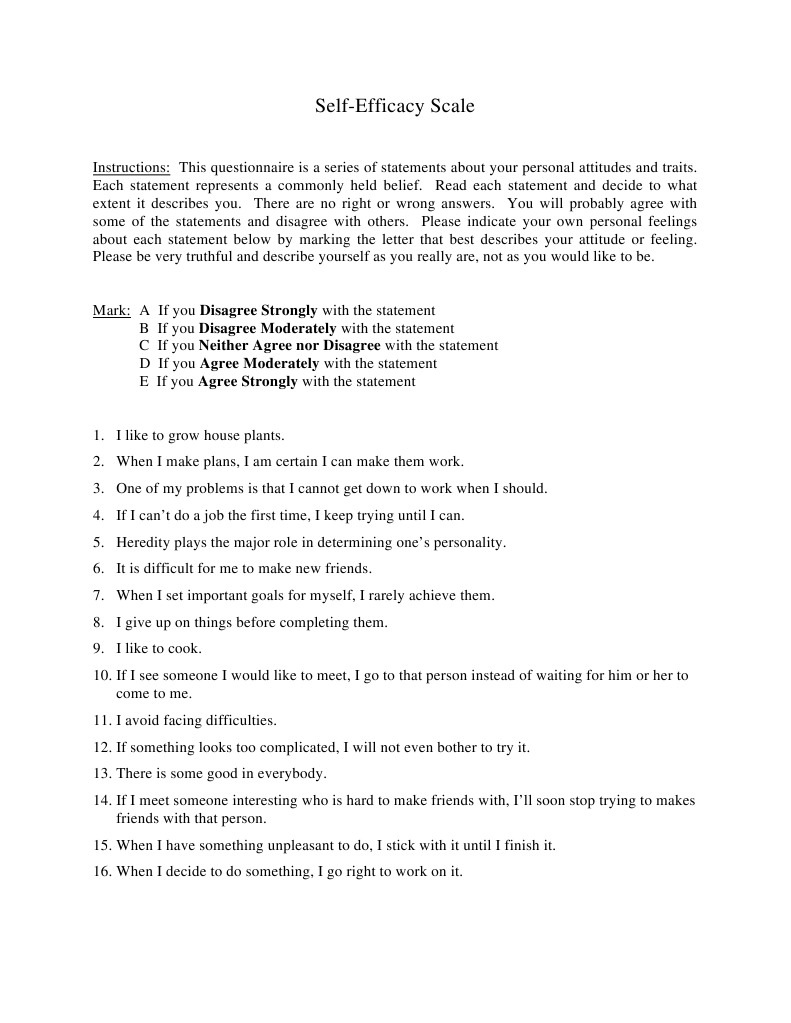 Self Efficacy Scale | PDF | Psychology | Psychological Concepts