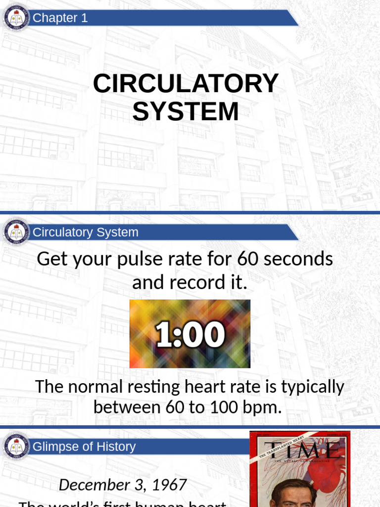 1 - Circulatory System. | PDF | Circulatory System | Heart