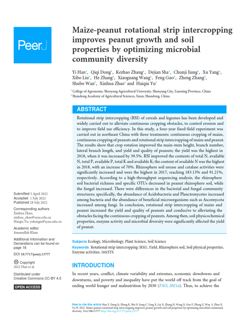 Maize-Peanut Intercropping Enhances Soil Quality | PDF | Crop Rotation ...