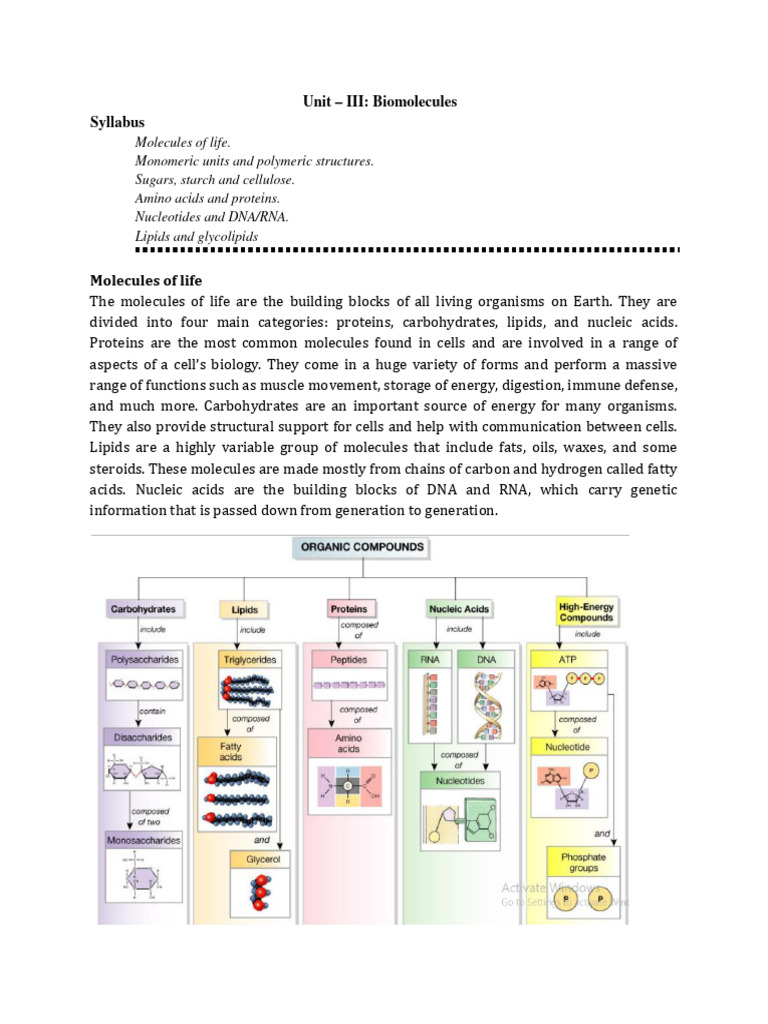 Unit 3 BIOE | PDF | Lipid | Carbohydrates