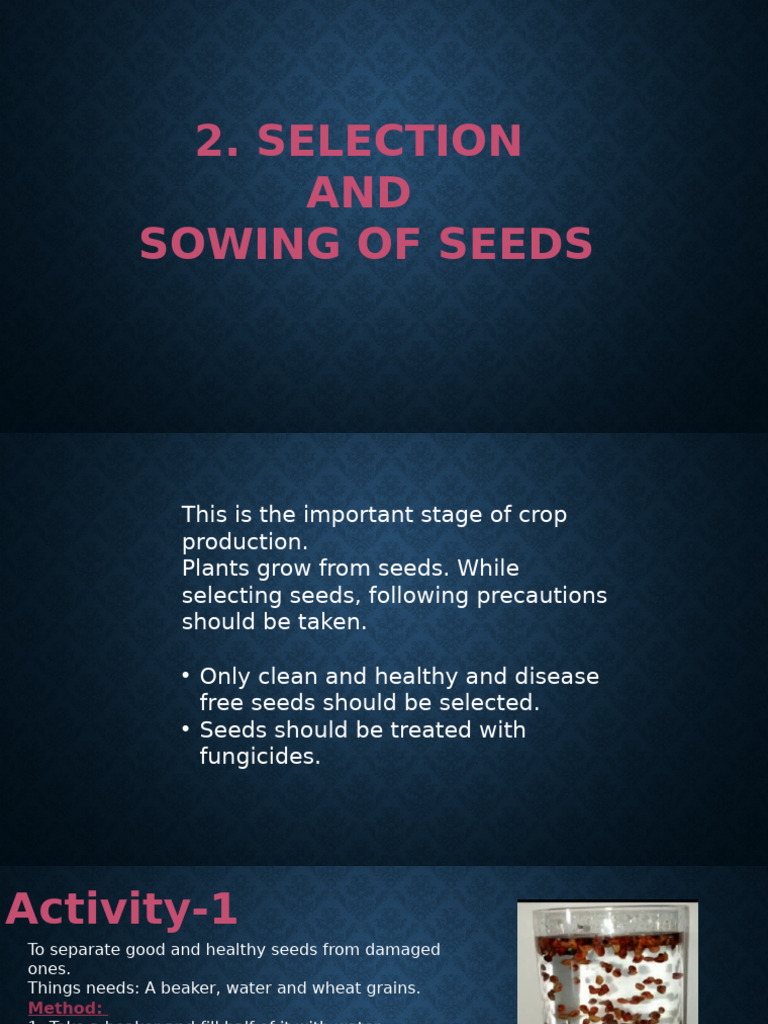 Seed Selection and Sowing Methods | PDF | Seed | Sowing