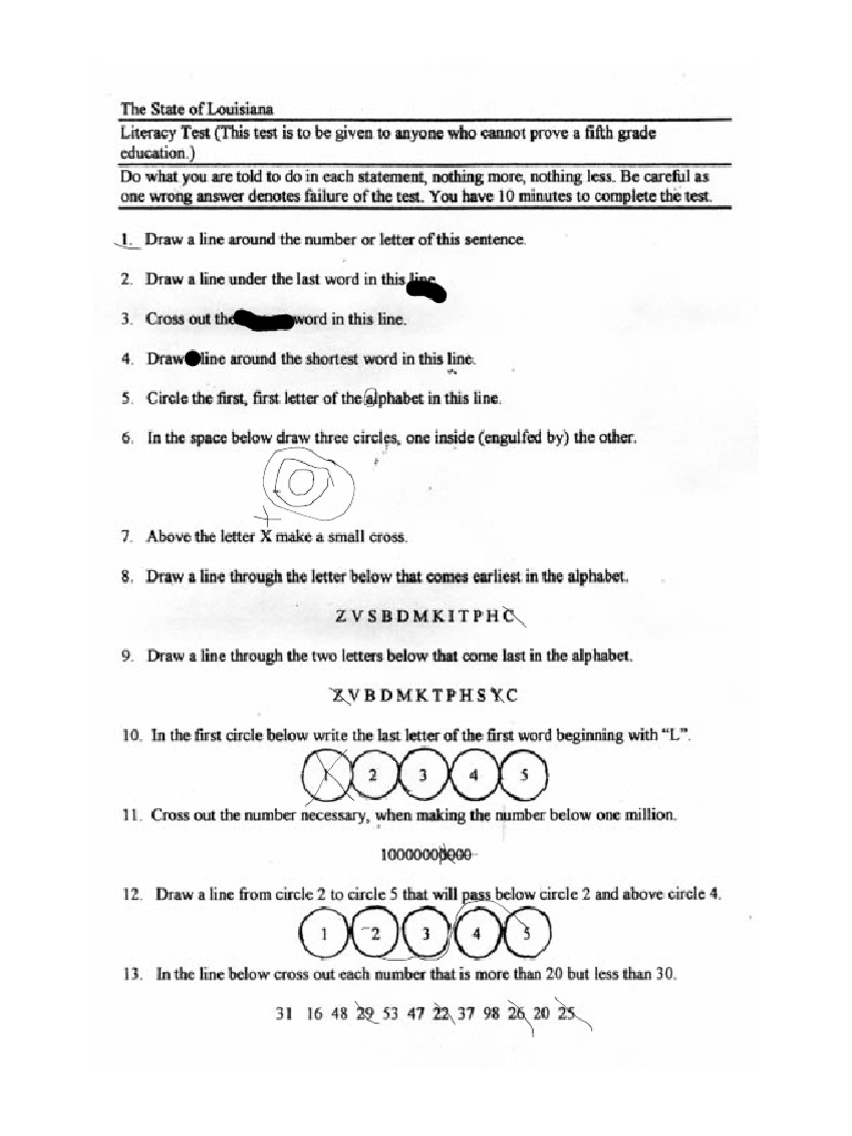 Literacy Test | PDF