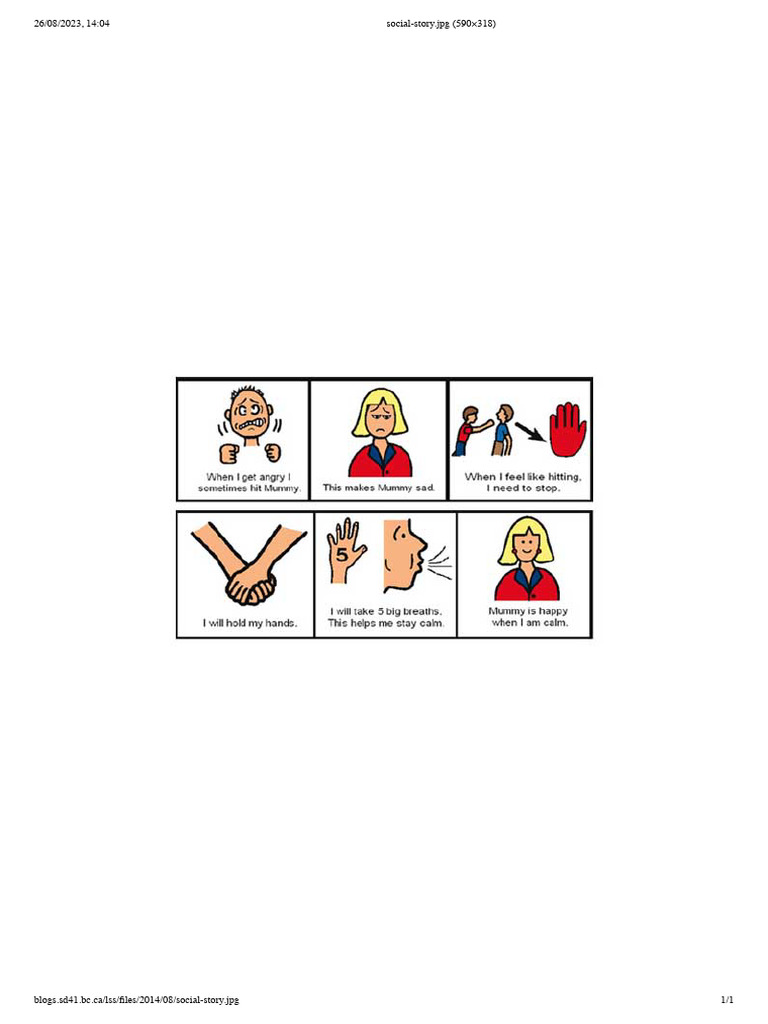 Hitting Social Story | PDF