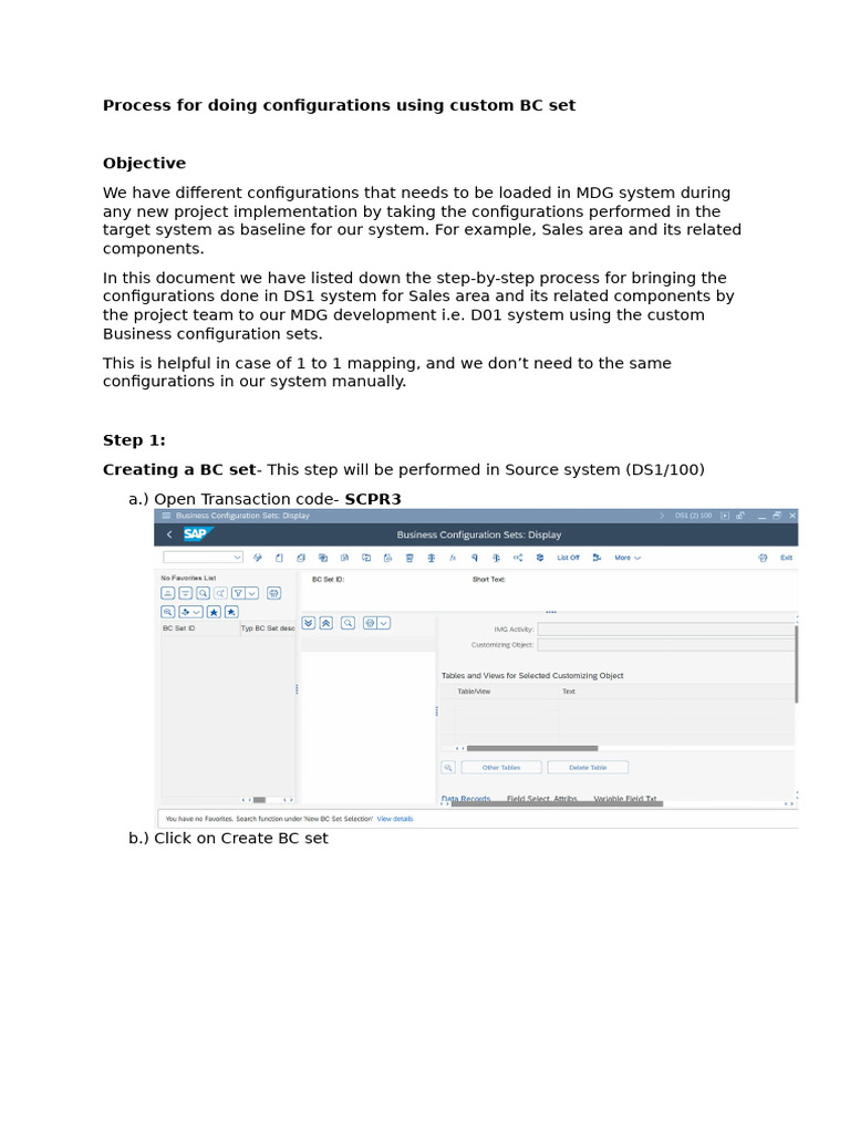 Configuring Custom BC Sets in MDG | PDF | Computer Architecture | Computing