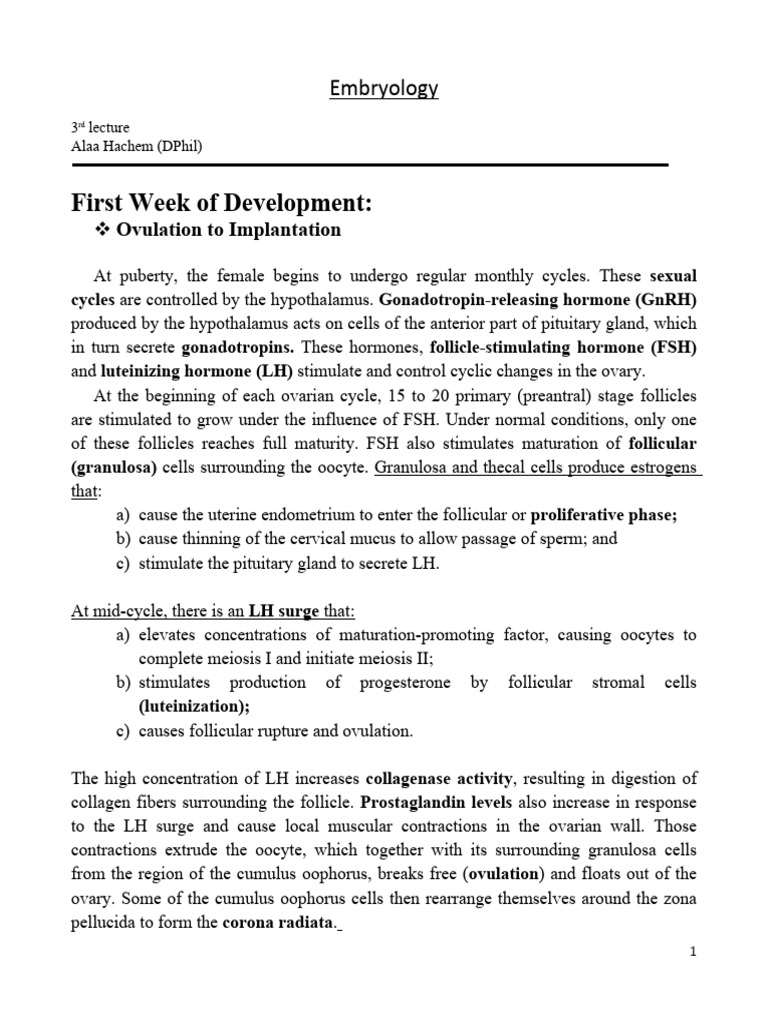 First Week of Development | PDF | Menstrual Cycle | Luteinizing Hormone