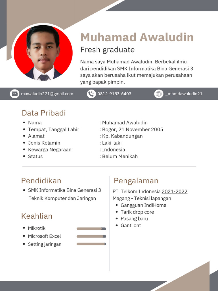 CV Muhamad Awaludin | PDF