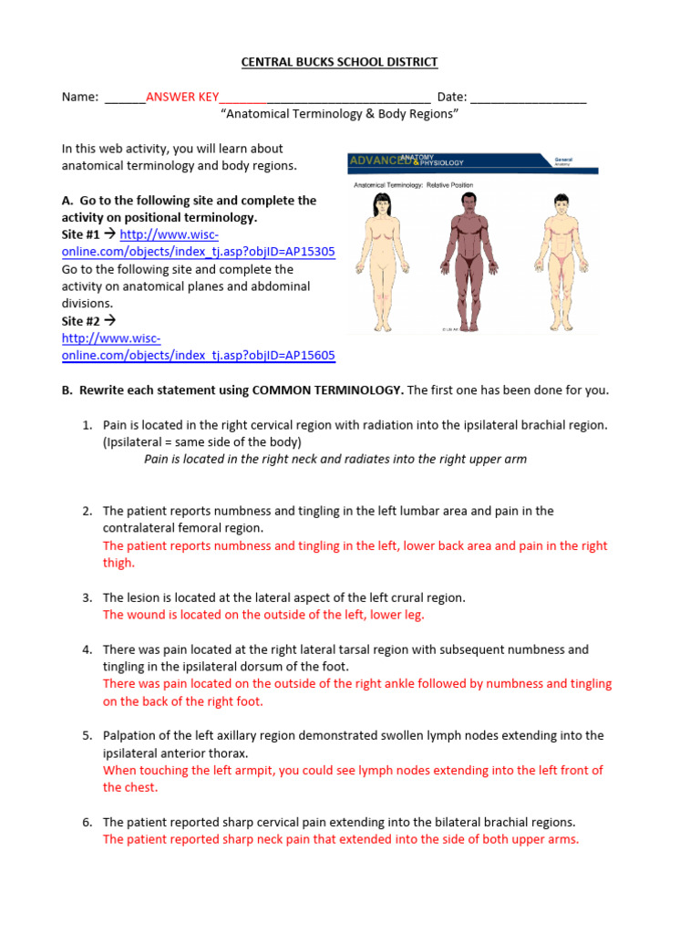 Anatomical Terminology & Body Regions Guide | PDF | Anatomical Terms Of ...