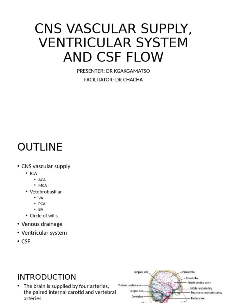 Cns Vascular Supply, Ventricular System and CSF | PDF | Cerebrospinal ...