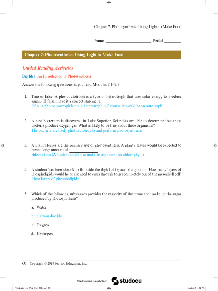 07 Photosynthesis Using Light To Make Food | PDF | Photosynthesis | Biology
