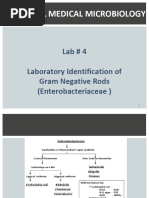Citrobacter freundii Biochemical Profile | PDF | Microbiology